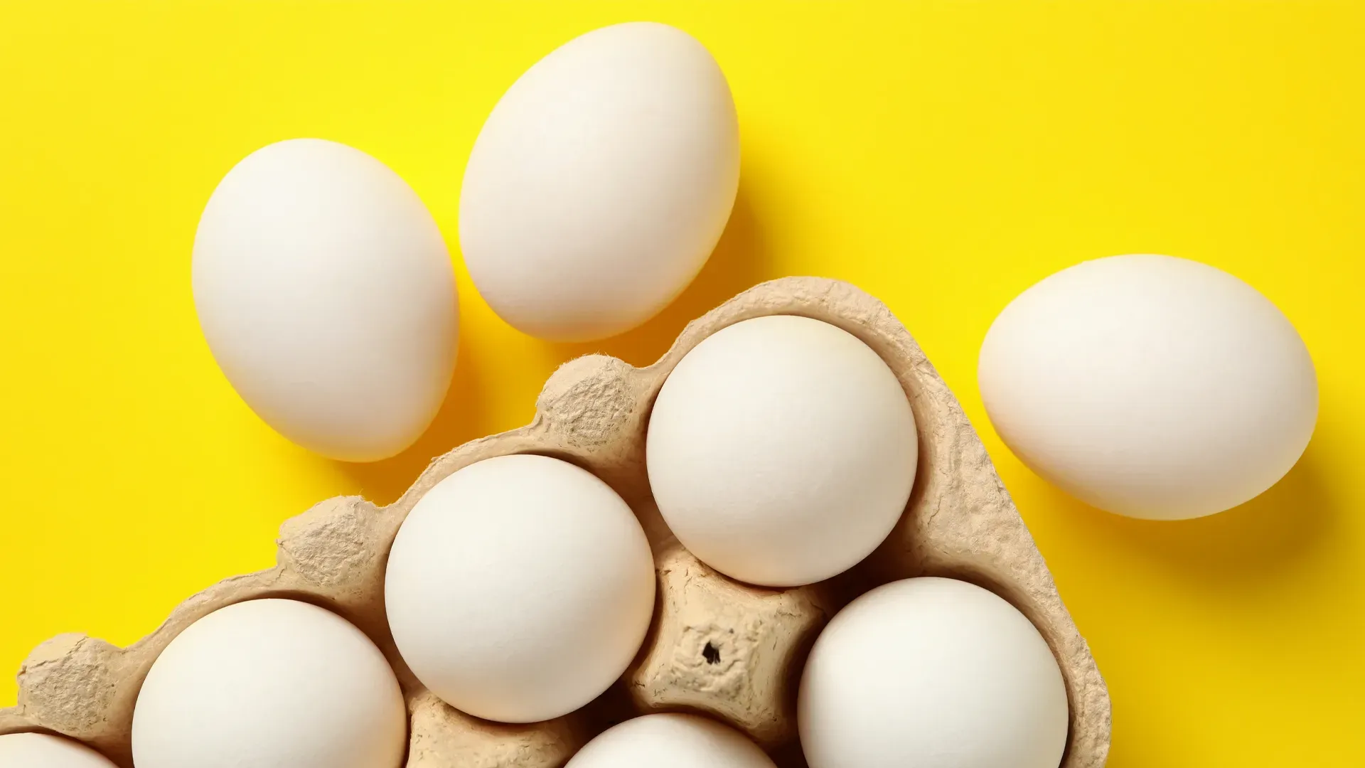 Let’s Celebrate the Incredible Edible Egg, Shell We? | Stratum Nutrition