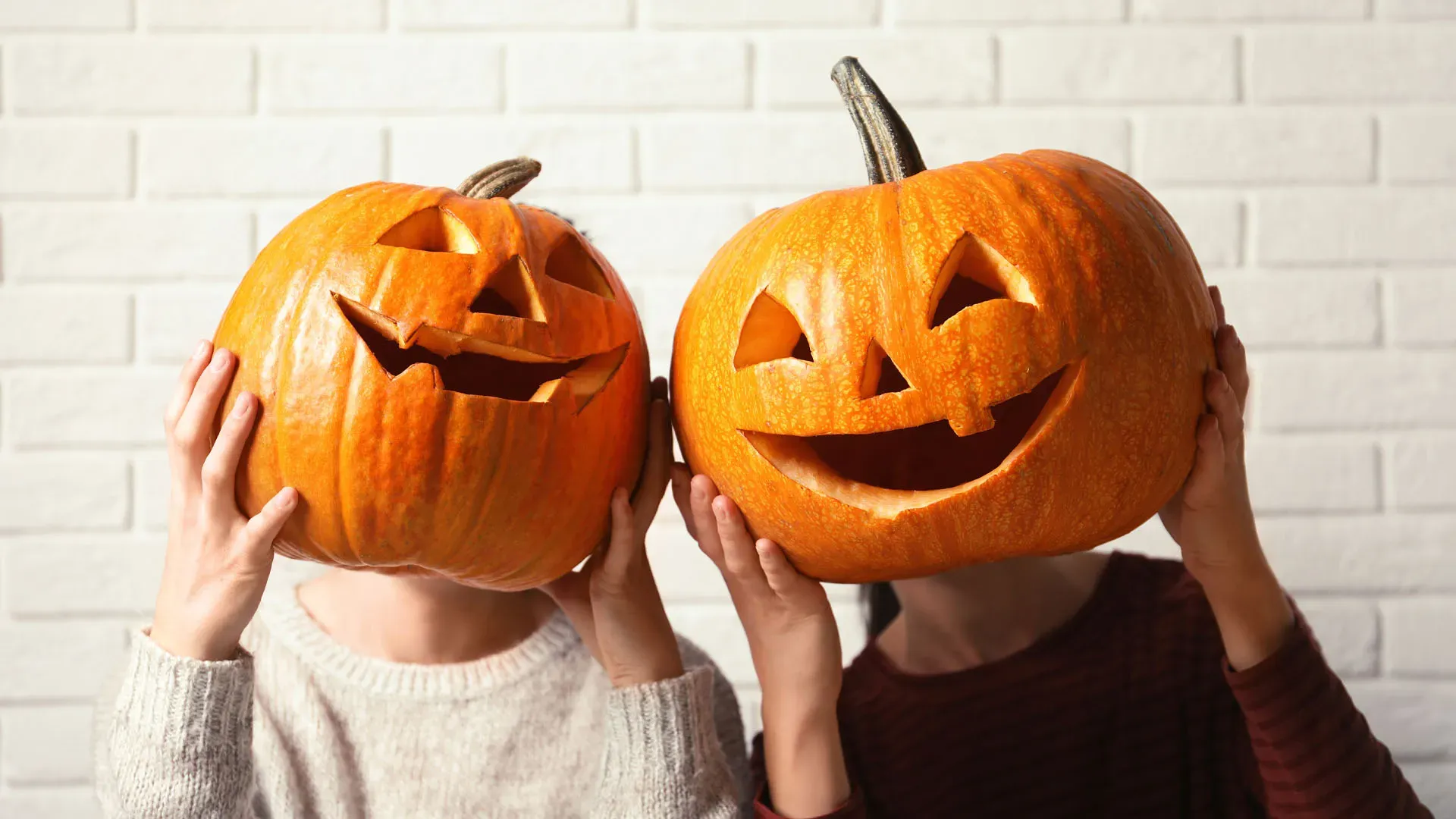 Pumpkin Spice and Gut Health Advice | Stratum Nutrition