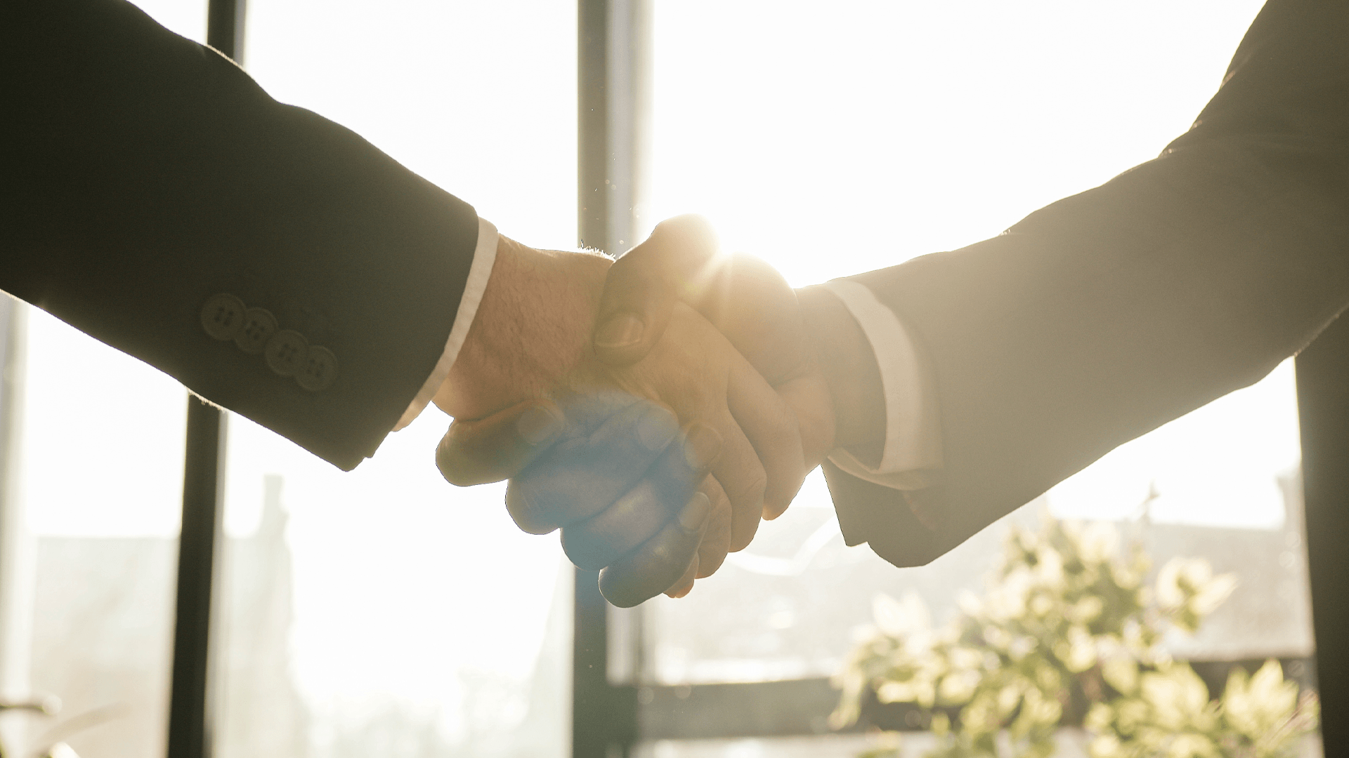 Stratum Nutrition® Announces New Distribution Partnership with Alchem ...